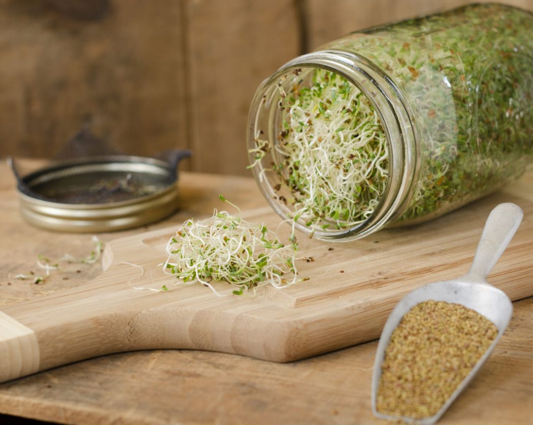 Growing Sprouts - LifestyleDoc